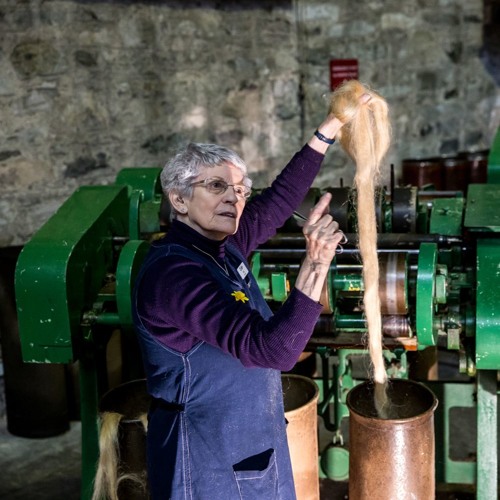 Stream episode Oral Histories: The Barking Stink with Lily Thomson by ...