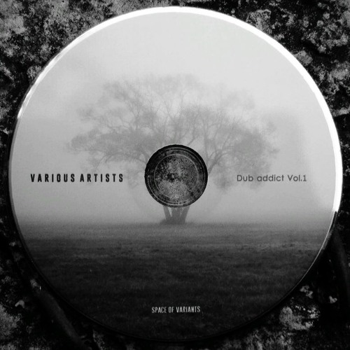 Stream Wave Surfer (Space Of Variants) [SV-35] by Otzim Lee | Listen ...