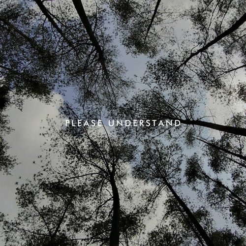 Stream Please Understand by IndieHuman | Listen online for free on ...
