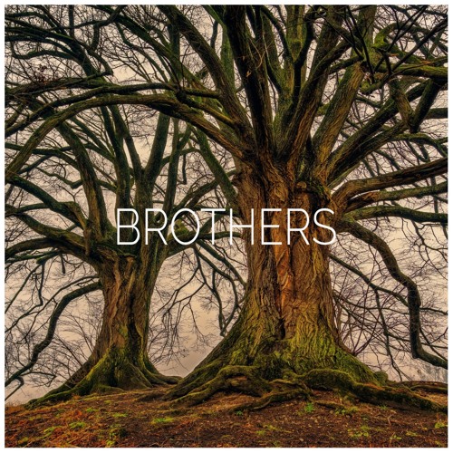 Stream Brothers by INNER SKIN | Listen online for free on SoundCloud