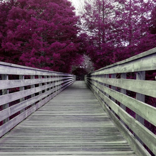 Stream Ryan Q | Listen to Hello There Darling(Someday) playlist online ...