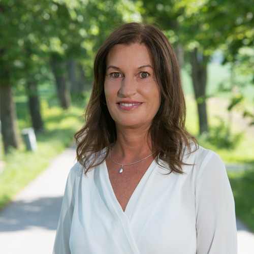 Stream Katrineholms kommun | Listen to Kommundirektör Sari Eriksson ...