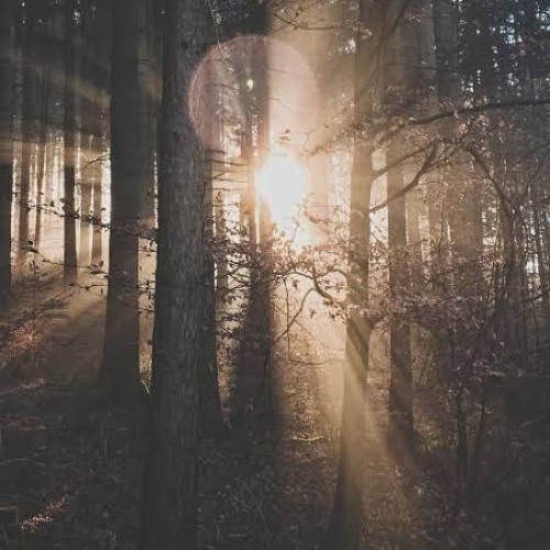 Stream Lost And Found by Obliek | Listen online for free on SoundCloud