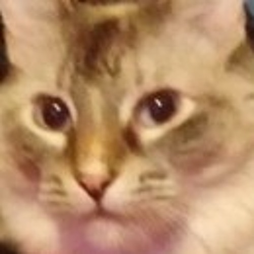 Stream Devin Mathers | Listen to mine playlist online for free on ...