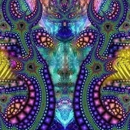 Machine Elves Dmt