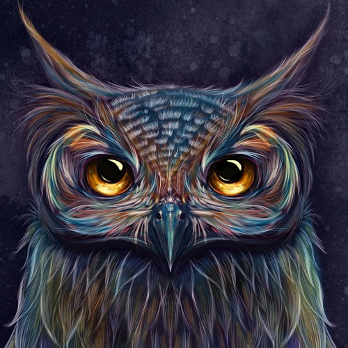 Stream The zoom by Lily gaming | Listen online for free on SoundCloud