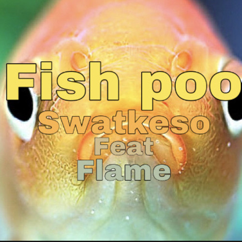 Stream Swatkeso- Fish poo by Swatkeso | Listen online for free on ...