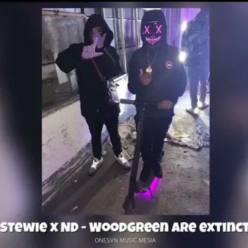 Stream #NPK Stewie x ND - Extinction #EXCLUSIVE (ORIGINAL AUDIO) by ...