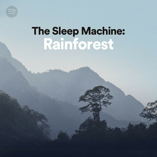 Stream Kate Stoy | Listen to The Sleep Machine: Rainforest playlist ...