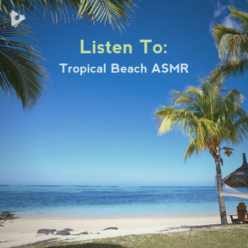 Stream 𝗹𝘂𝗹𝗹𝗶𝗳𝘆 | Listen to Listen To: Tropical Beach ASMR playlist ...