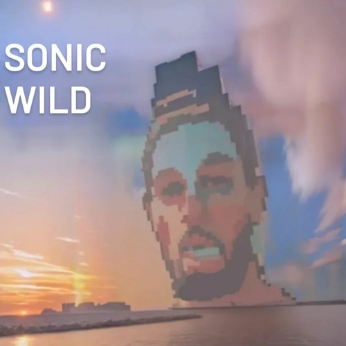 Stream Sonic Wild Mix by Junie Rosa | Listen online for free on SoundCloud