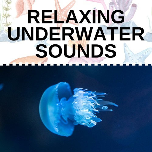 Stream Underwater Sounds Channel | Listen to Relaxing Underwater Sounds ... Stream Underwater Sounds Channel | Listen to Relaxing Underwater Sounds ...