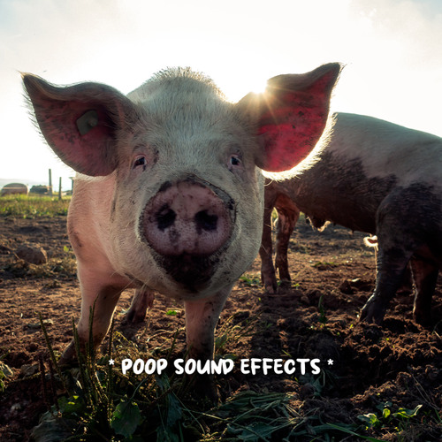 Stream Fart Fest | Listen to * poop sound effects * playlist online for ...