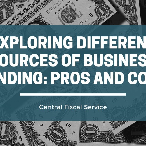 Stream Exploring Different Sources Of Business Funding Pros And Cons by ...