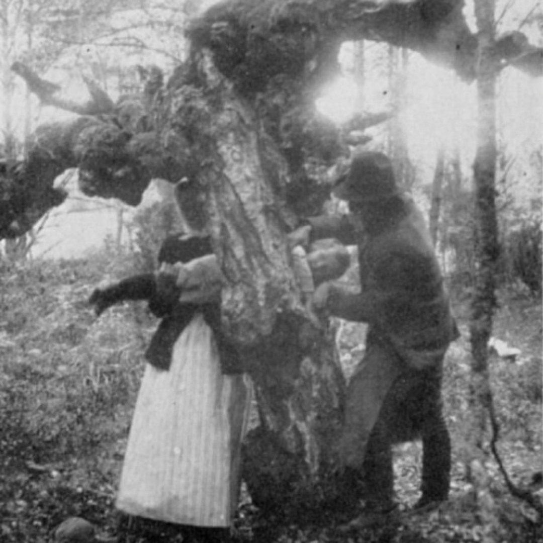 Stream Ice Exposure w/ Luis Martin Gonzalez & Nosewise by Luis Martin ...