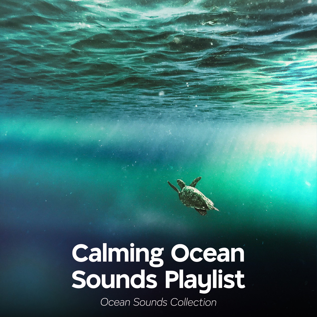 Stream Ocean Sounds Collection | Listen to Calming Ocean Sounds ...