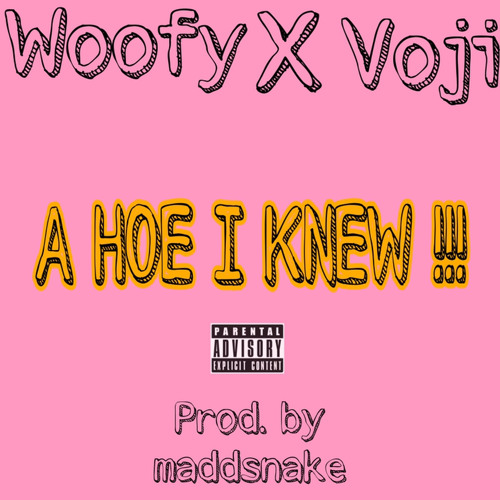 Stream Voji Reck - A Hoe I Knew (feat. LiL WooFy WooF) (prod. maddsnake ...