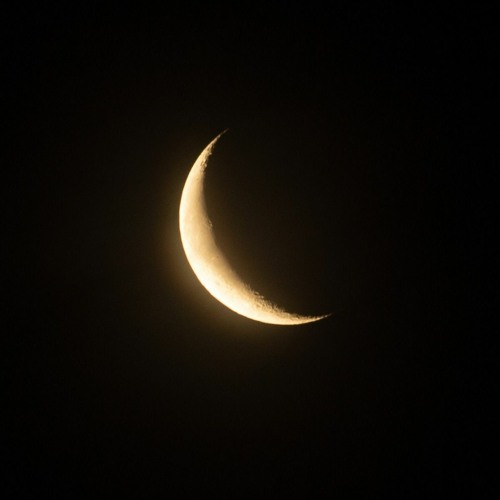 Stream True Love Xxxtentacion Remix By Tenseiloveu Listen Online 1242