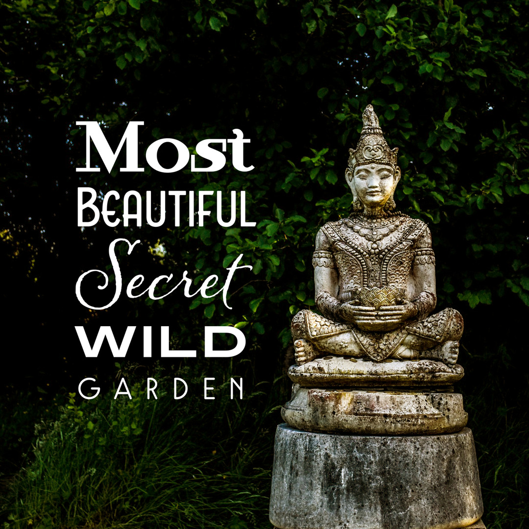 Stream Garden of Zen Music | Listen to Most Beautiful Secret Wild ...