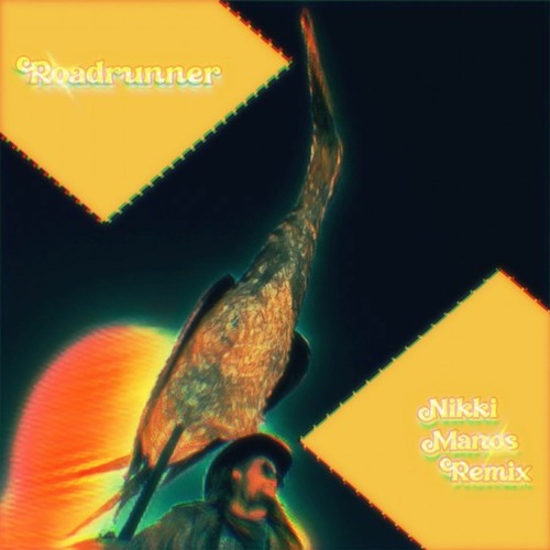 Stream Deliriously Serious - Roadrunner (Nikki Manos Remix) by Rabotat ...