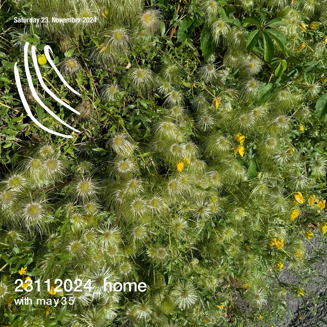 Stream 23112024 ⓜⓘⓧ w pablomay by ꪑꪖꪗԐဌ | Listen online for free on ...