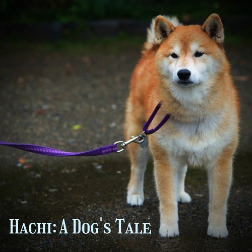 Stream The Pink Rabbit | Listen to Hachi: A Dog's Tale playlist online ...