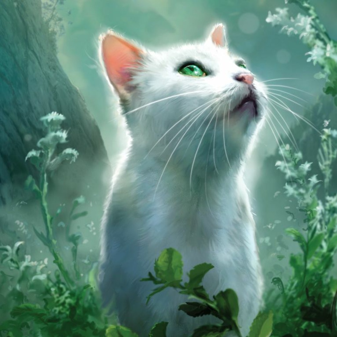 Stream Warrior Cats Untold Tales OST - Spring (Intro) by Untold Tales ...