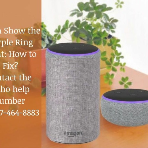 Stream episode Instant Ways To Fix Alexa Purple Ring Light by Alexa ... Stream episode Instant Ways To Fix Alexa Purple Ring Light by Alexa ...