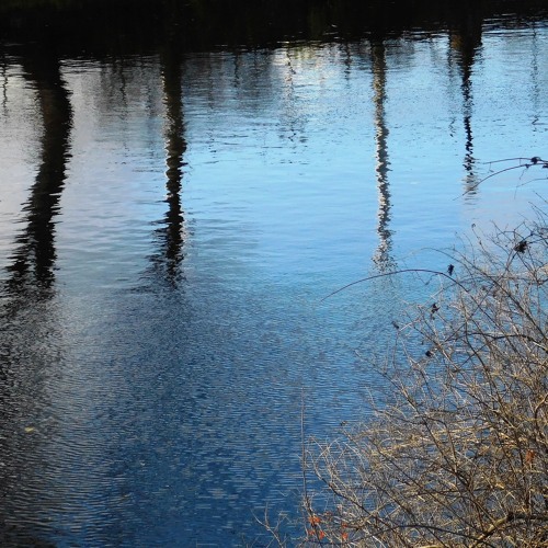 Stream "Le dénuement", par Albert; Arrangement (orchestration) par ...