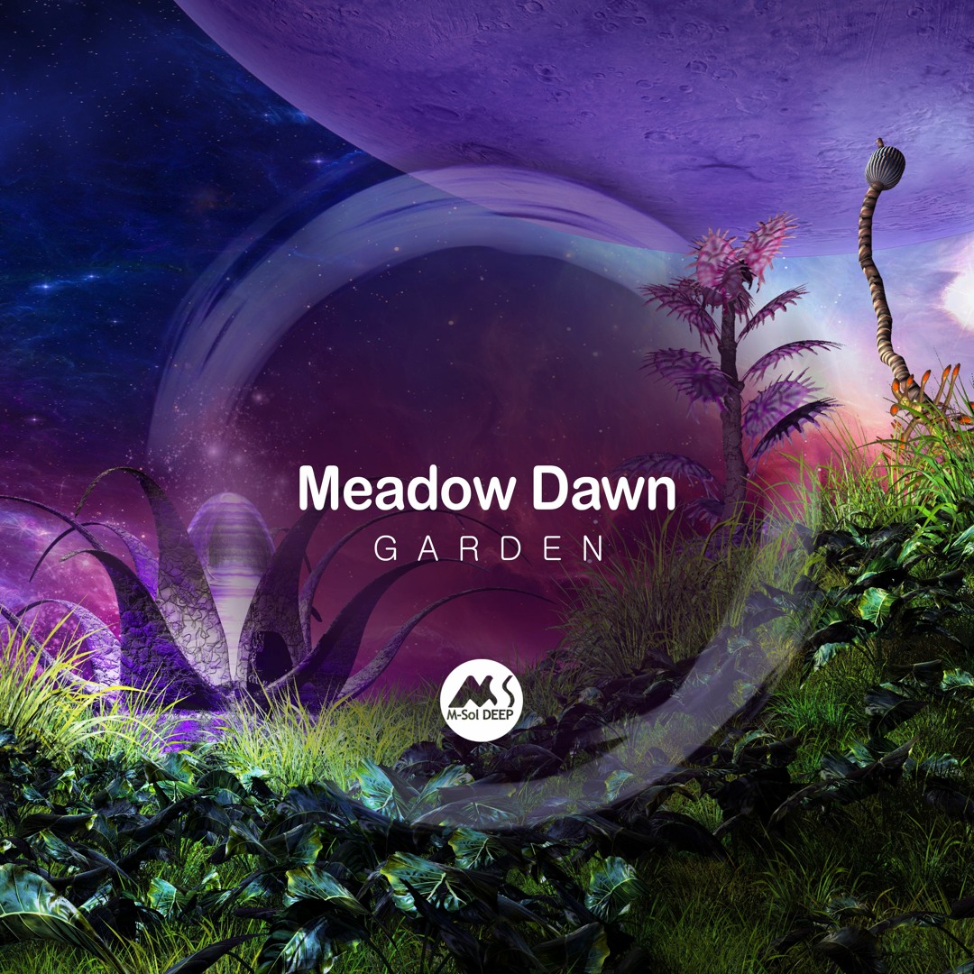 Stream Meadow Dawn - Garden [M-Sol DEEP] by M-Sol DEEP | Listen online ...