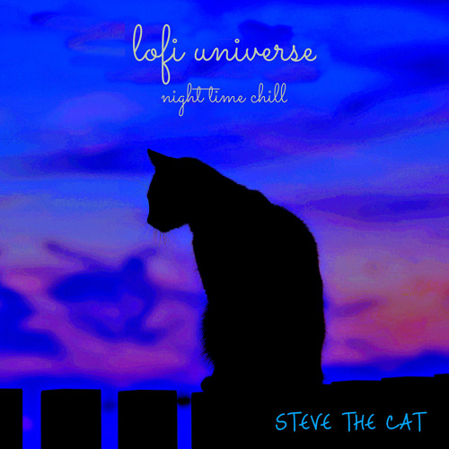Stream Steve The Cat | Listen to #Lofi Universe Night Time Chill ...
