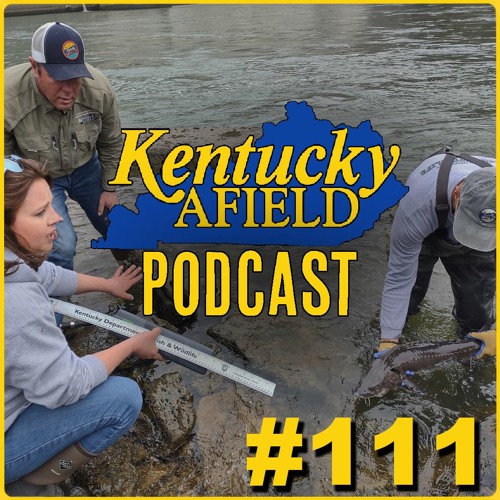 Stream episode #111 - Lake Sturgeon, Green River, Boat Fish KY by ...