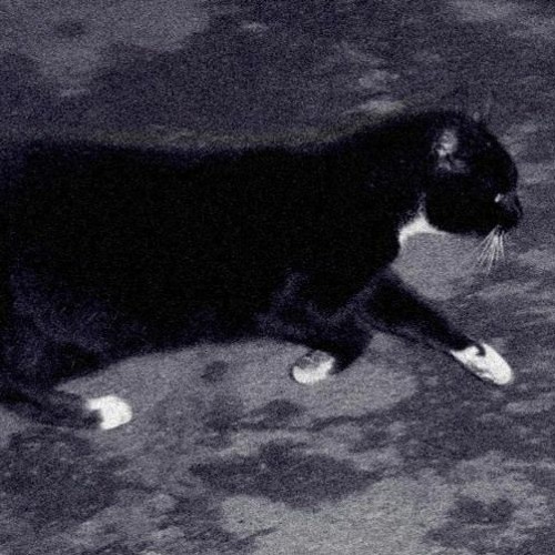 Stream Singr by Akarn | Listen online for free on SoundCloud