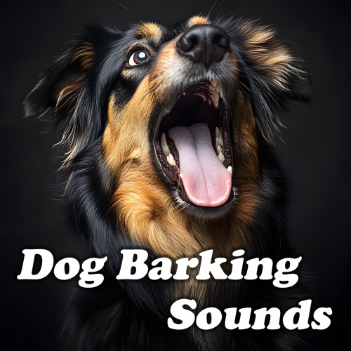Stream Dog Sounds | Listen to Dog Barking Sounds playlist online for ...
