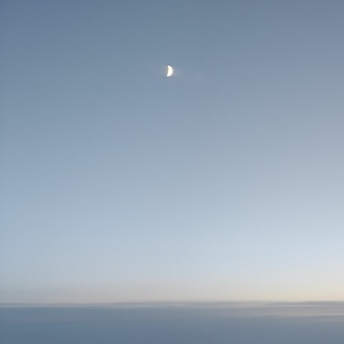 Stream We Gotta Run | SCP: Secret Laboratory OST by Fem!tanyl | Listen ...