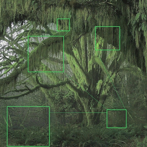 Stream Black Ops X Crazy Frog By Noxx Listen Online For Free On