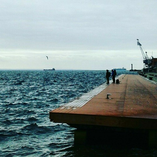 Stream Day Dreaming by Tony Zoo | Listen online for free on SoundCloud