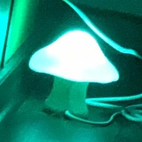 Stream Dream on High note 👍 by Gh0stM34d0w | Listen online for free on ...