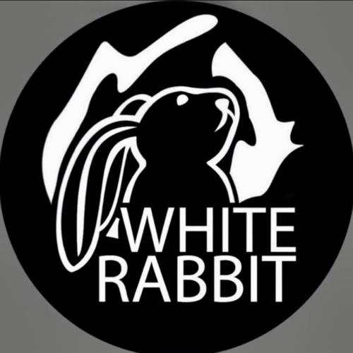 Stream Dreams - Fleetwood Mac Cover performed by White Rabbit by White ...