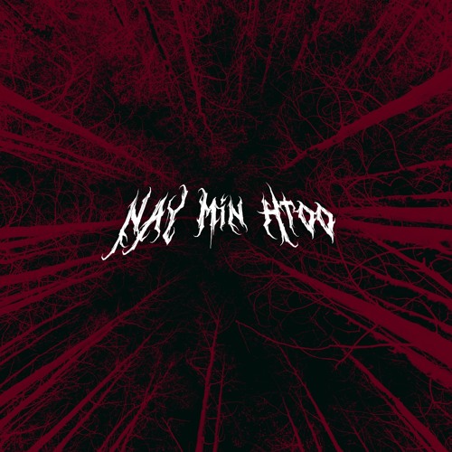 Stream Nay Min Htoo | Listen to ပြောဦးမယ် playlist online for free on SoundCloud