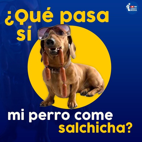 Stream ¿Qué pasa si mi perrito como salchicha? by JMPROTV | Listen ...