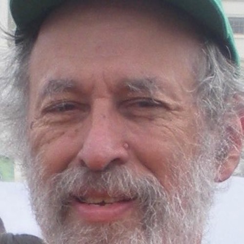 Stream David Schwartzman On War In Ukraine by Hudson Mohawk Magazine ...