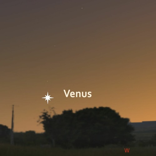 Stream episode 8/23/21 - Venus and Arcturus by Backyard Astronomer ...