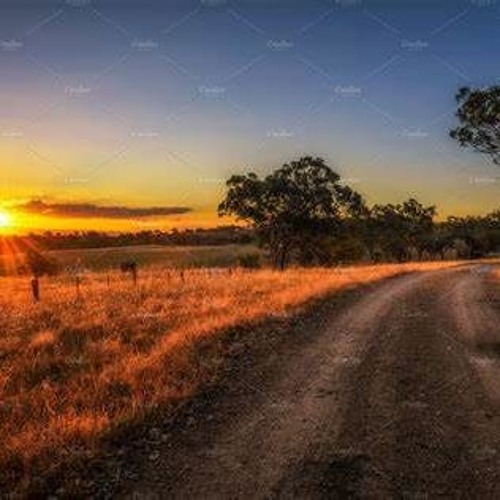 Stream Kiss That Monkey !!! by Rolf "S4" Fiesel | Listen online for ...