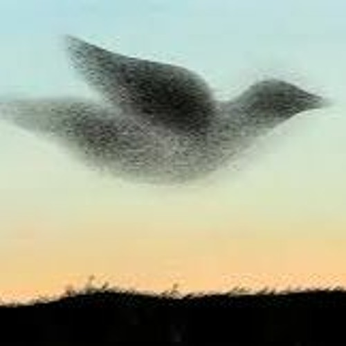 Stream Sandals in the Sofa by Peter Arvidson | Listen online for free ...