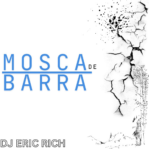 Stream DJ Eric Rich - Mosca de Barra (Afterhours Mix) by EAR CANDY ...