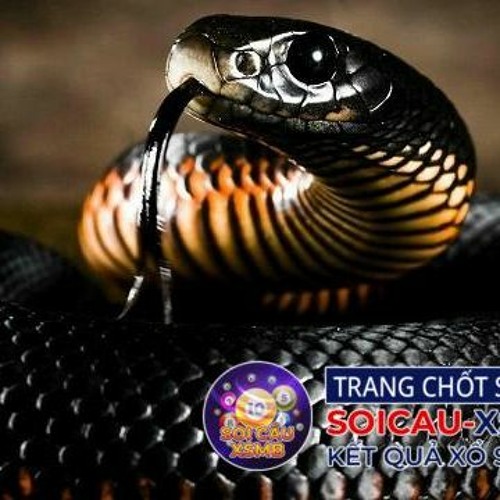 Stream Ngủ mơ thấy con rắn đen to có ý nghĩa gì? by Soi Cầu XSMB ...