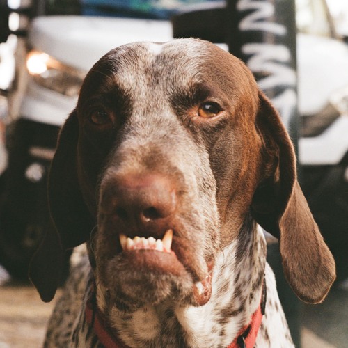 Stream Hernia Music by Dan Coyne 1 | Listen online for free on SoundCloud