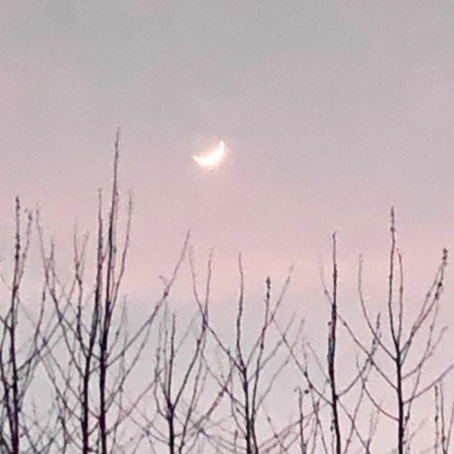 Stream Psalm 30 - 20/2/22 by soul diary | Listen online for free on ...