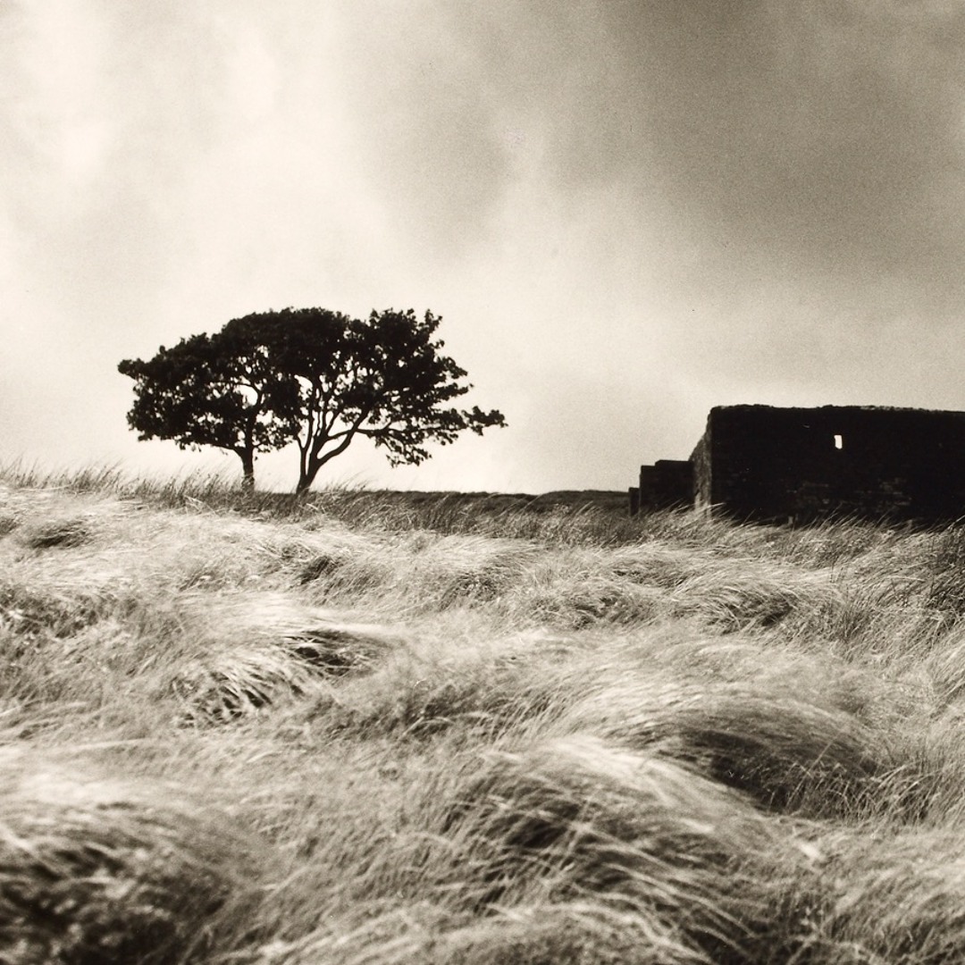 Stream Act 1, Scene 2, Bronte Sisters' Trio, Bronte, a chamber opera ...